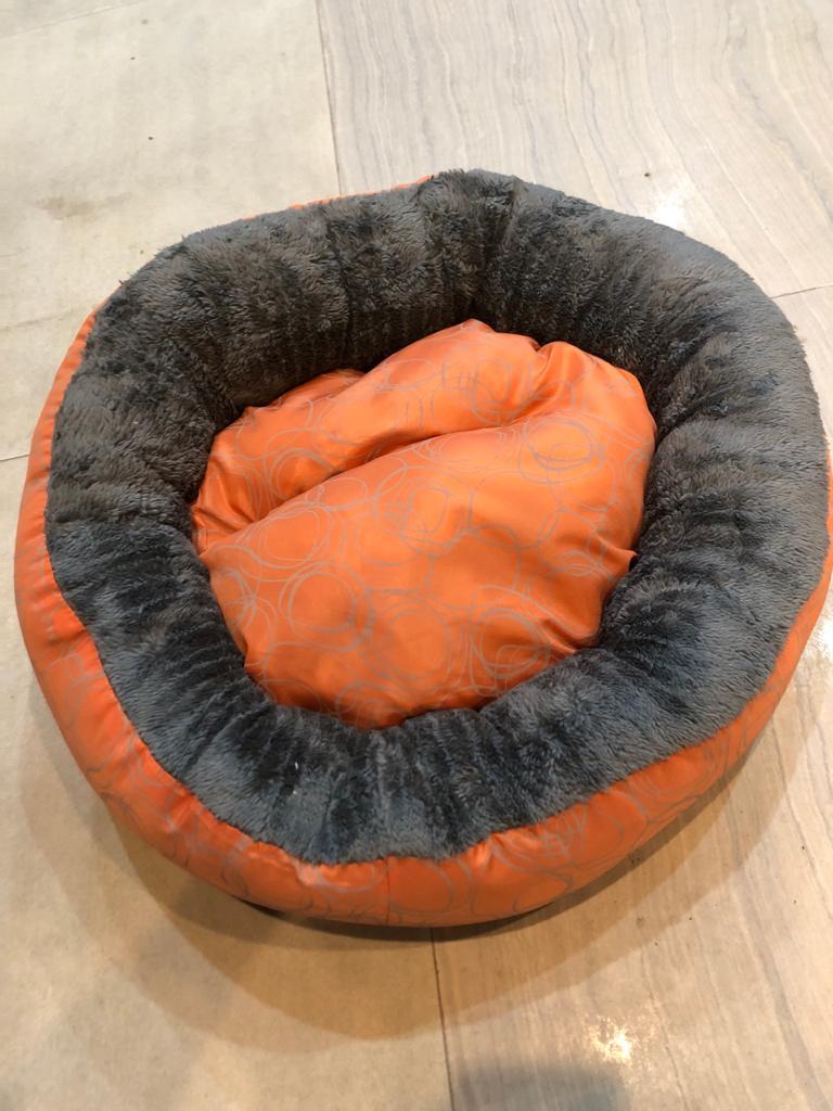 Cat Bed - Aliyan Pet Store